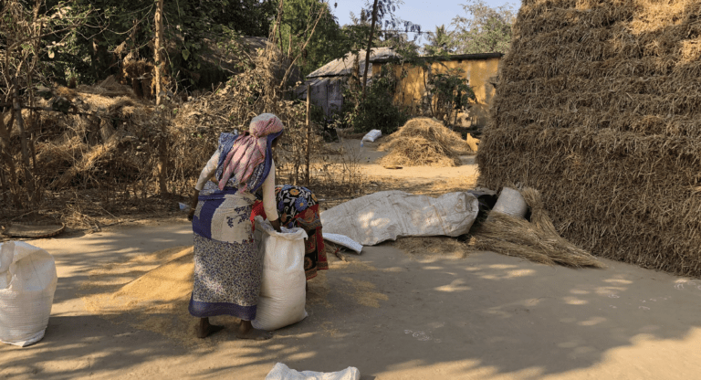 MiFOOD Papers - MiFOOD Network