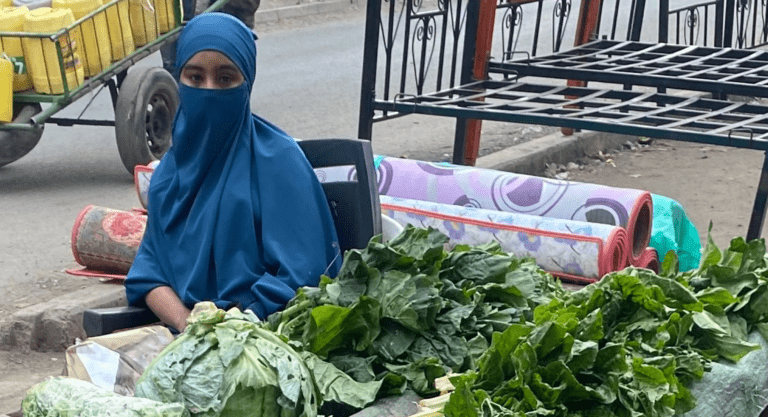 MiFOOD Papers - MiFOOD Network